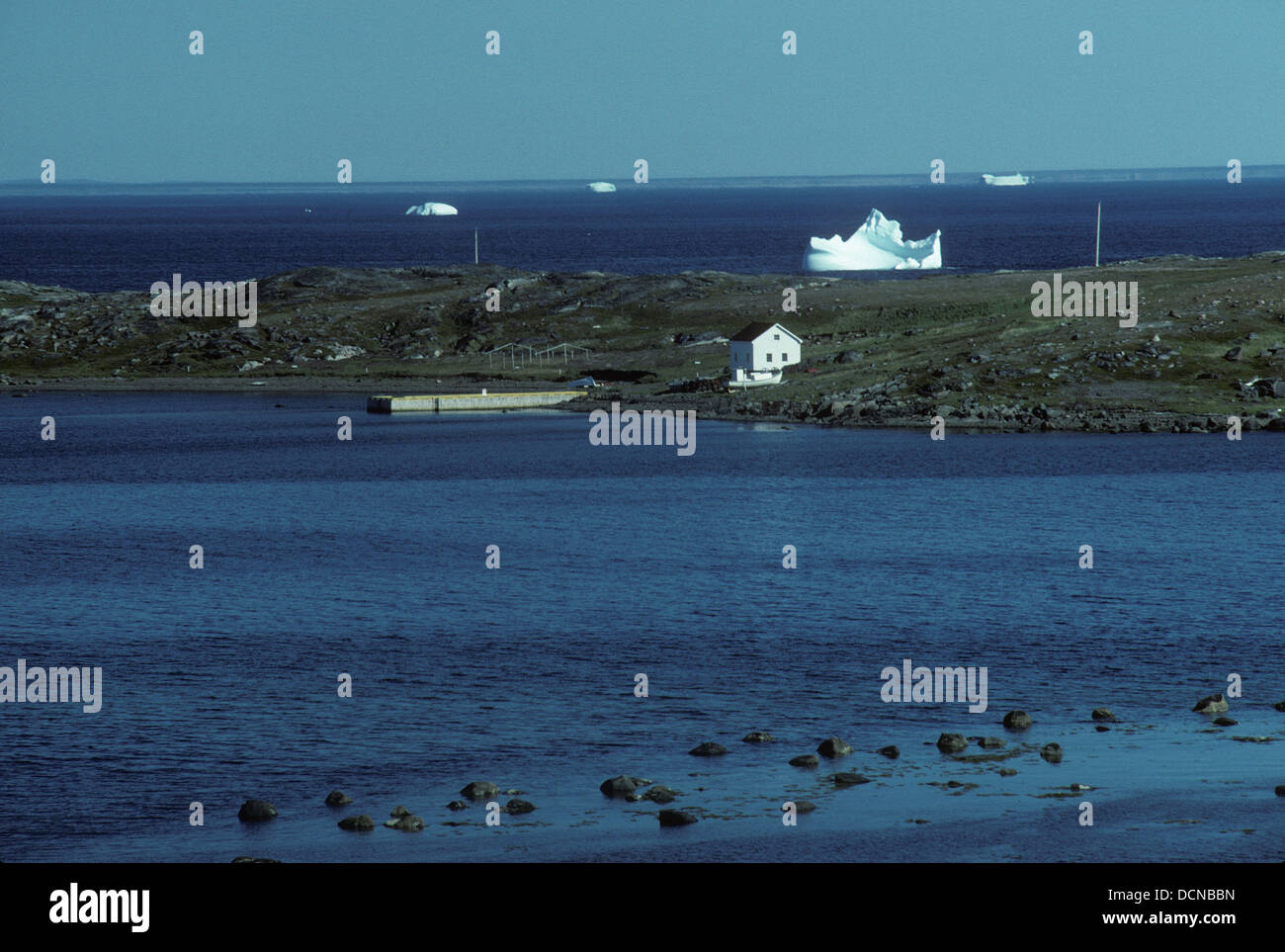 Icebergs and cabin, Red Bay, Labrador, Newfoundland Stock Photo - Alamy