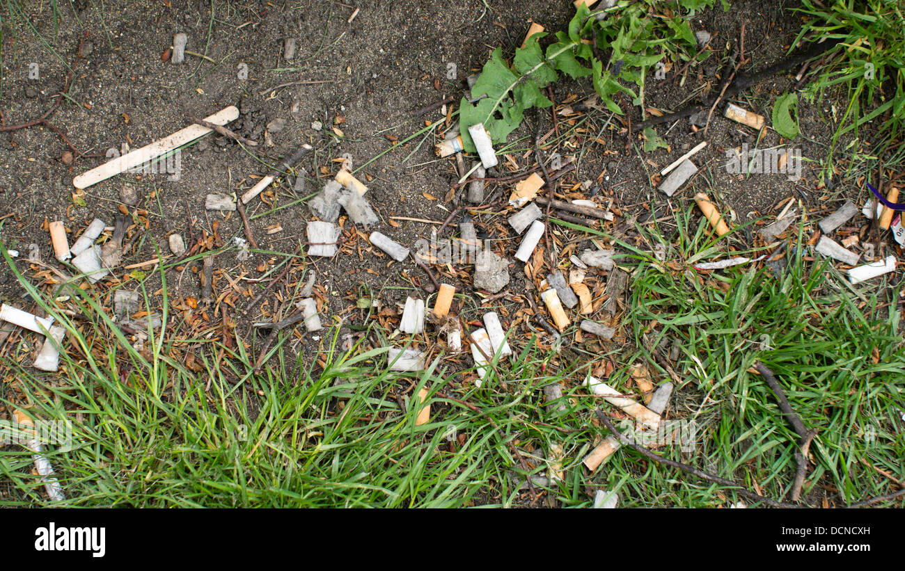 Cigarette ends emptied from a car onto the roadside Stock Photo - Alamy