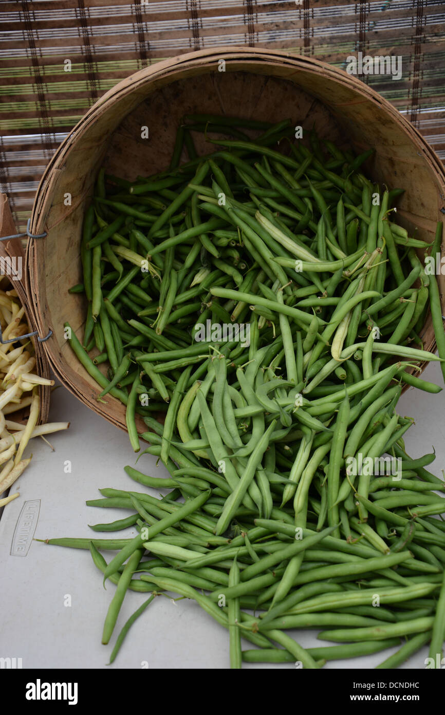 Set up in the front yard hi-res stock photography and images - Alamy