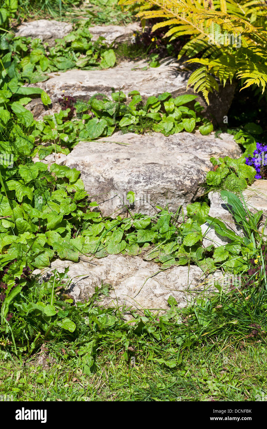 steps overgrown with grass in summer garden Stock Photo - Alamy