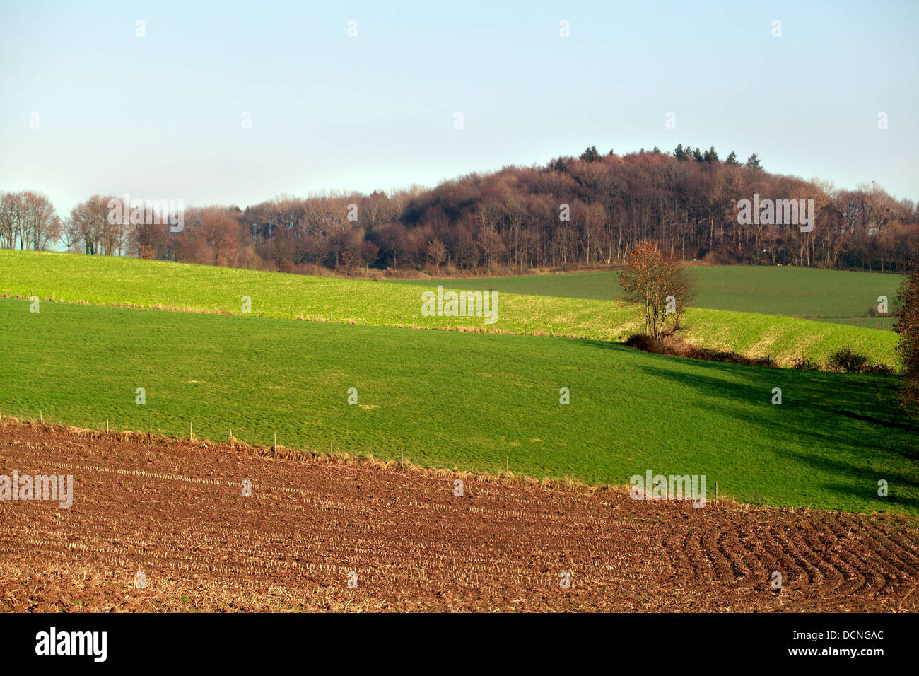 landscape with fields Stock Photo - Alamy