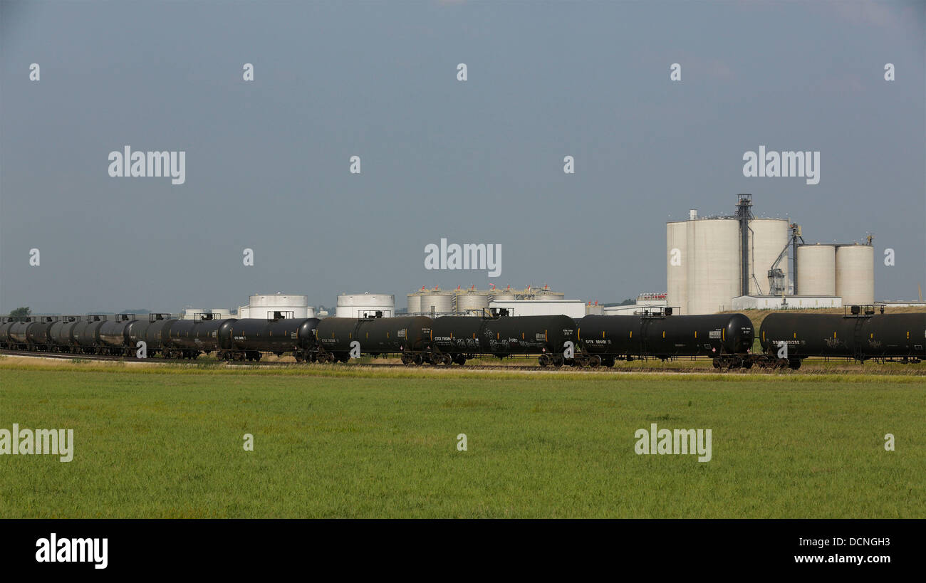Corn growers hi-res stock photography and images - Alamy