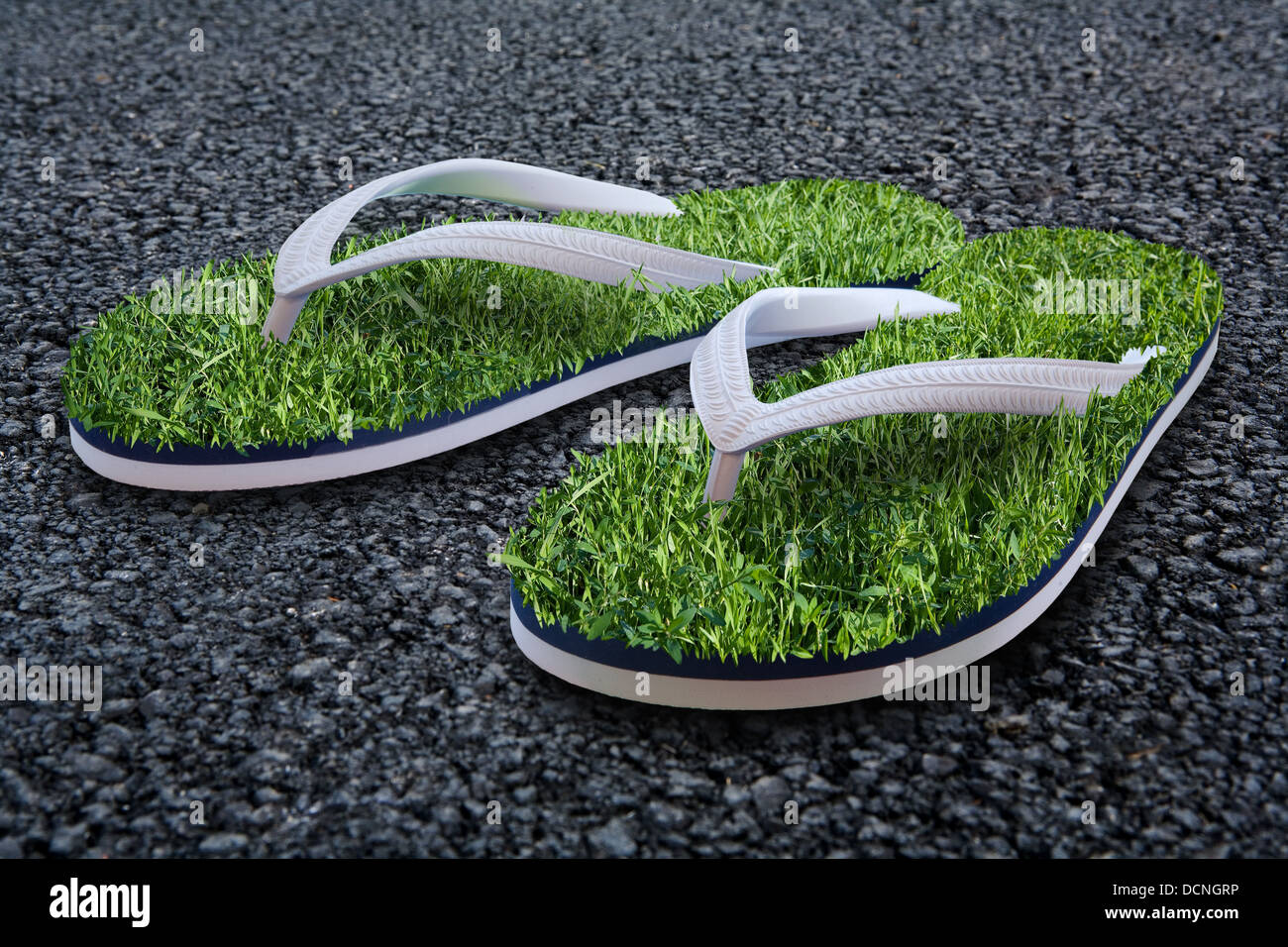Slipper of the yard hi-res stock photography and images - Alamy