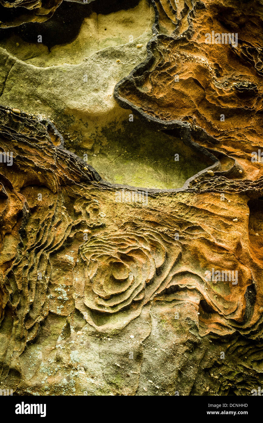 Weathered Rock Patterns, Natural Bridge State Park, Kentucky, USA Stock ...