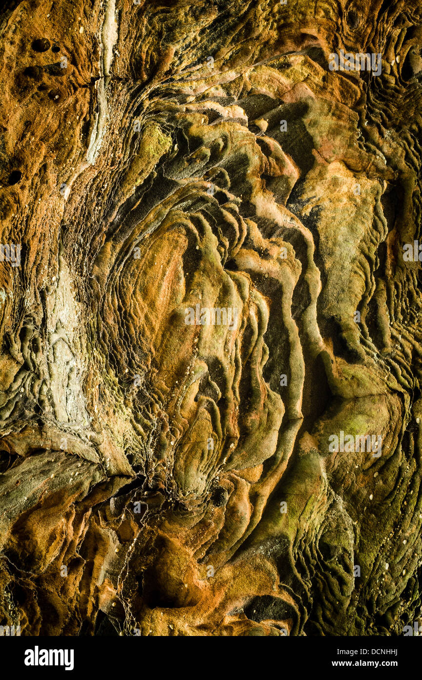 Weathered Rock Patterns, Natural Bridge State Park, Kentucky, USA Stock ...