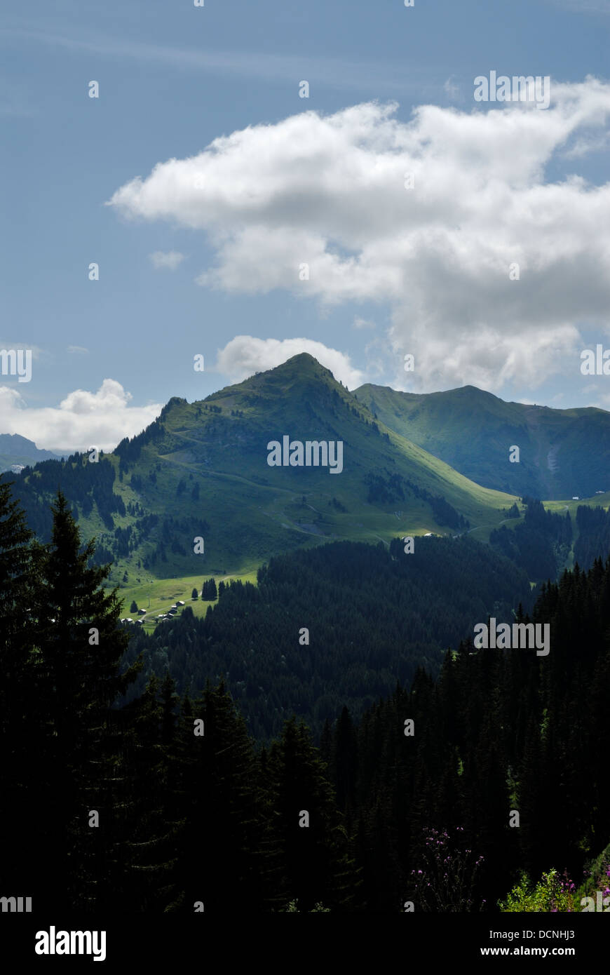 Pointe de Nyon mountain near Morzine a french alpine town, summer time ...