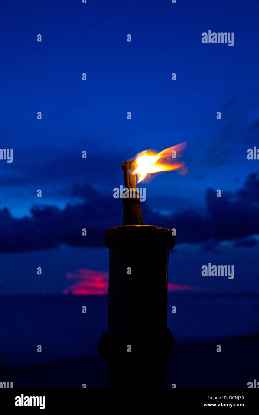 Firebrand in night Stock Photo - Alamy