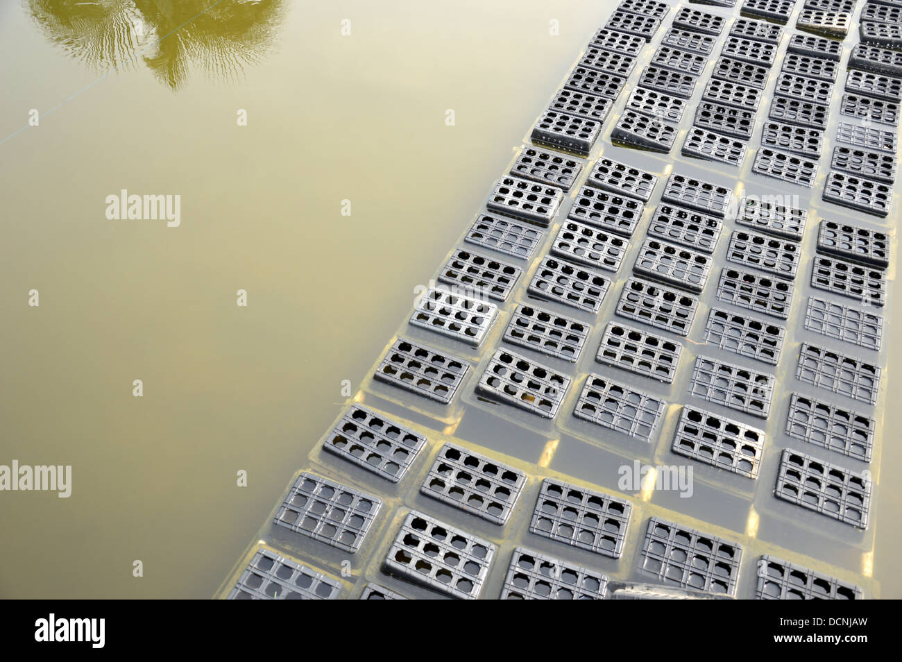 black boxes crab on soft-shelled crab farming ponds Stock Photo - Alamy