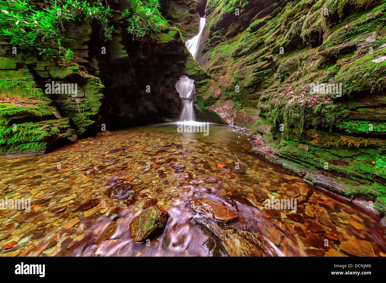 St Nectan's Glen, Tintagel, Cornwall Stock Photo - Alamy