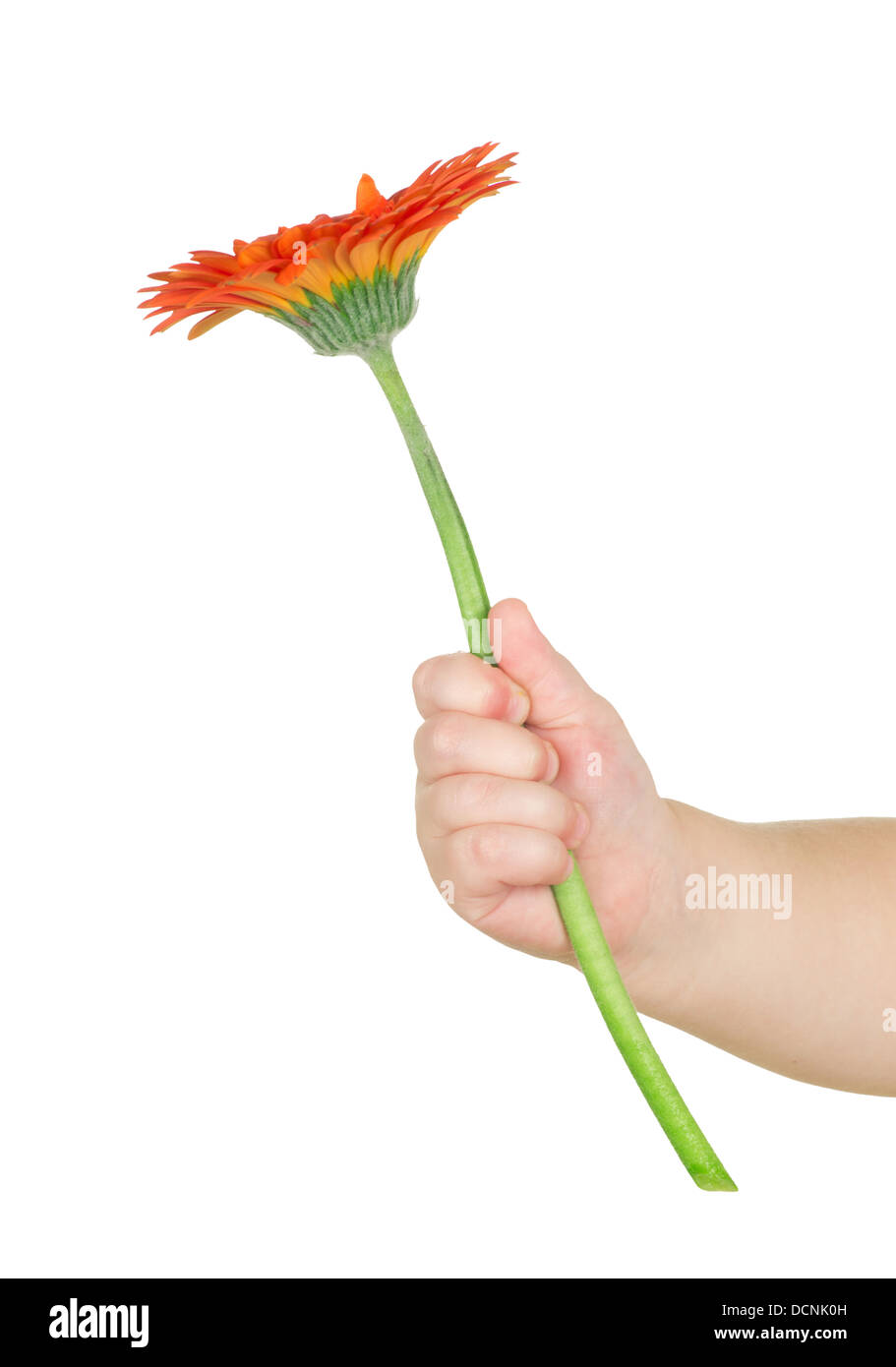 Hand hold bouquet Cut Out Stock Images & Pictures - Alamy