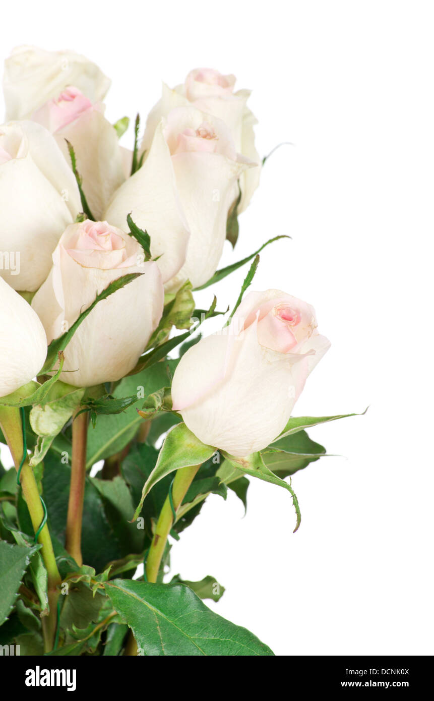 Simple fresh flower hi-res stock photography and images - Alamy