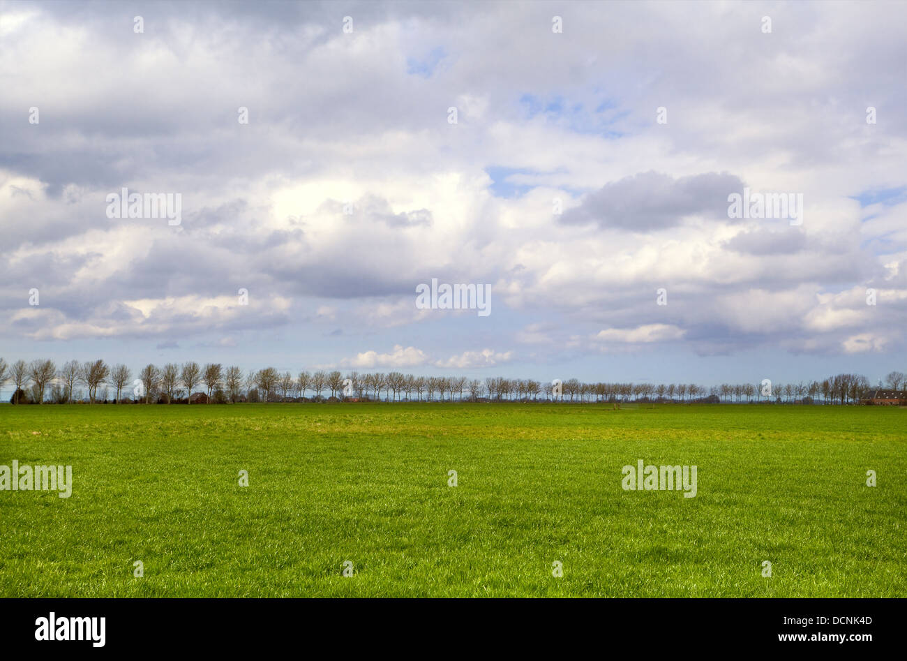 plain landscape in Groningen Stock Photo - Alamy