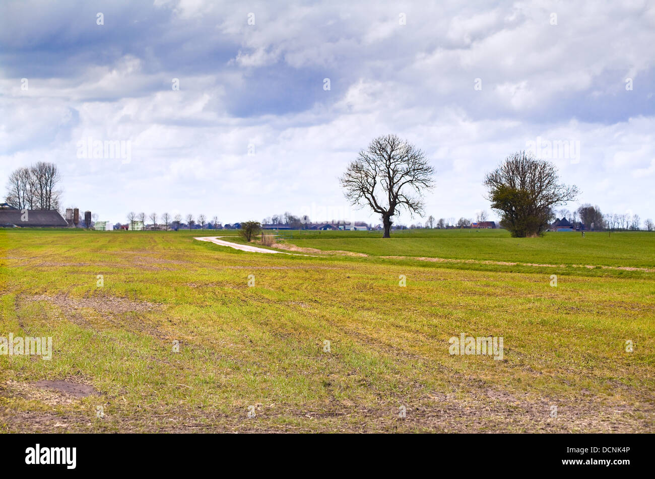 Dutch field and stormy sky Stock Photo - Alamy