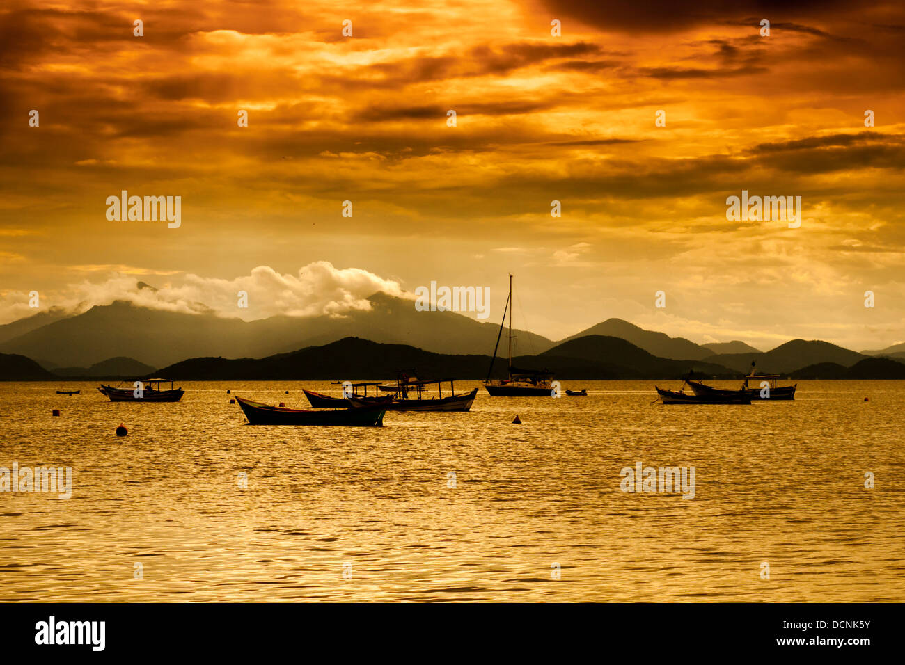 Paranagua High Resolution Stock Photography and Images - Alamy