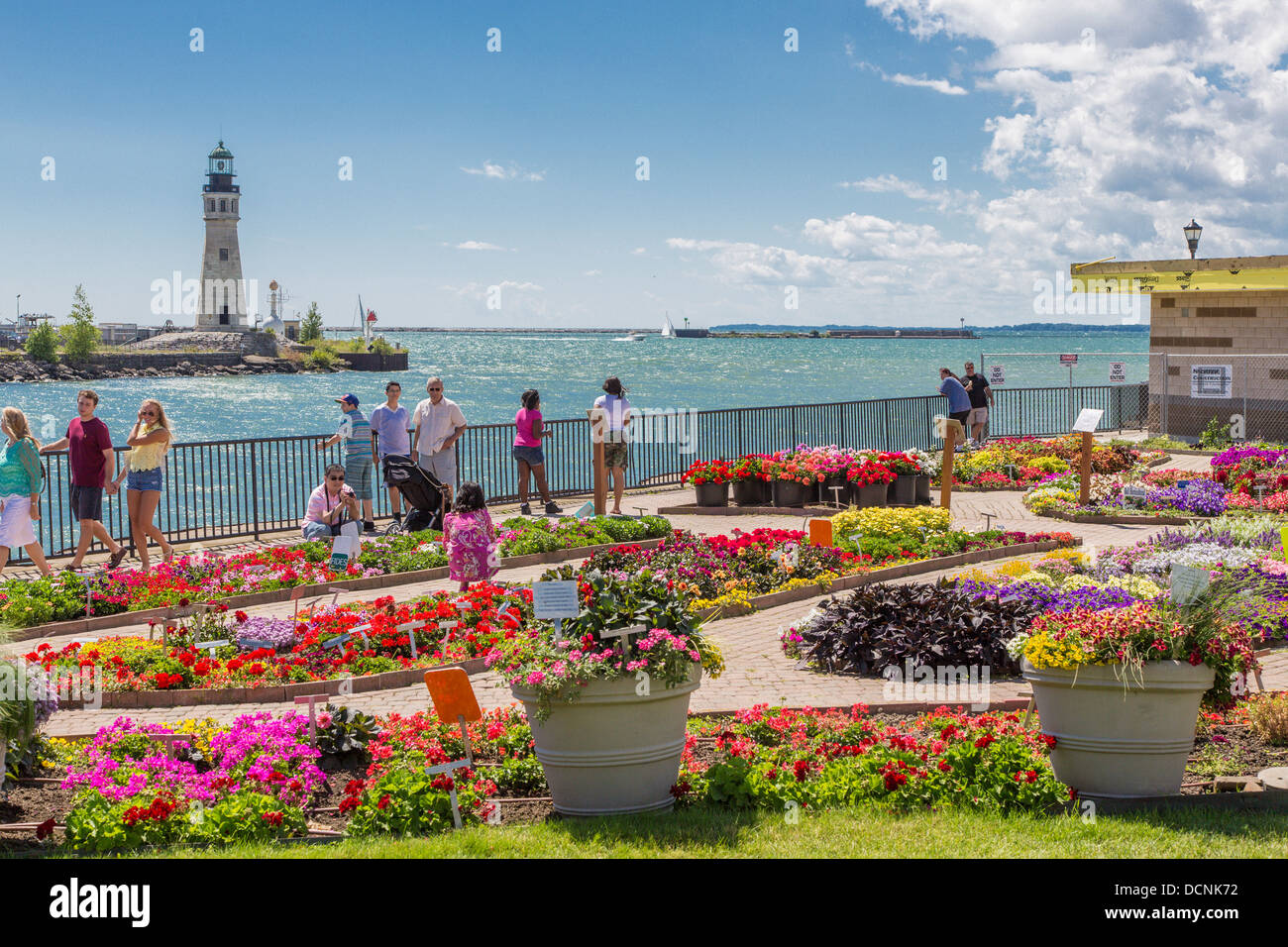 Erie Basin Marina Gardens on Lake Erie with lighthouse in background in ...