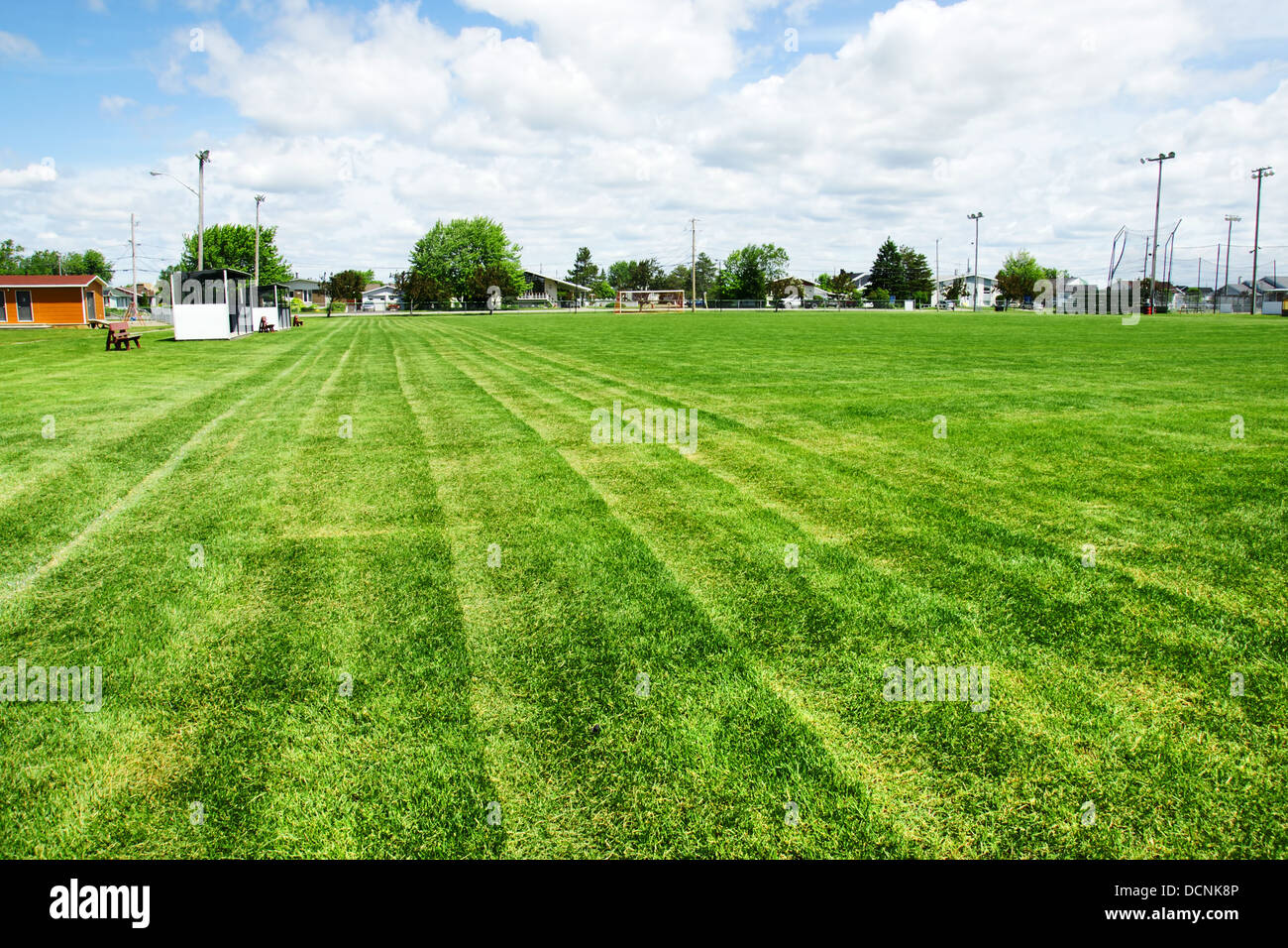 Football or soccer field Stock Photo - Alamy