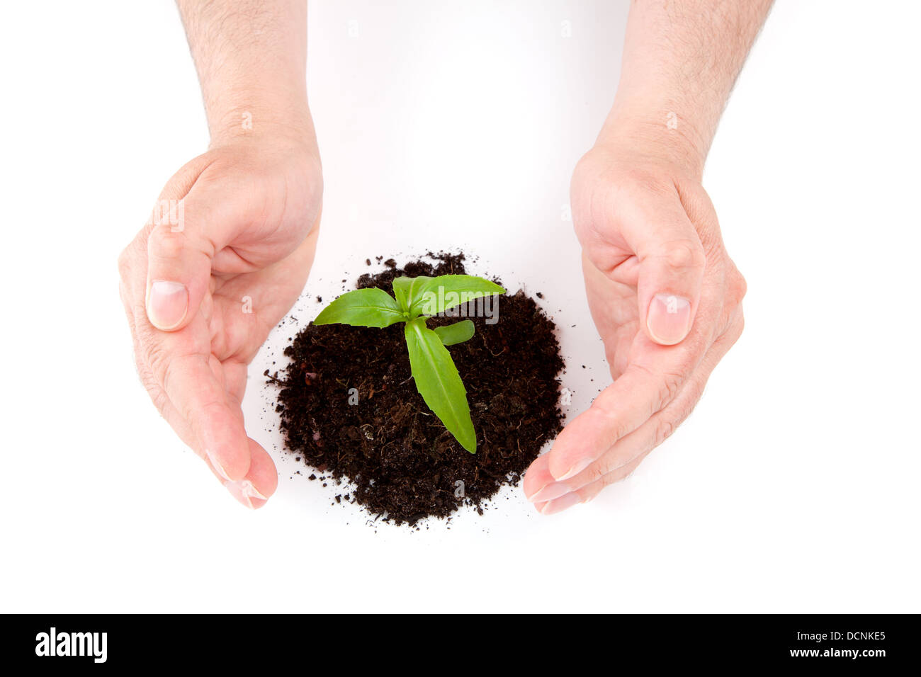 Ecology concept mature hands hi-res stock photography and images - Alamy