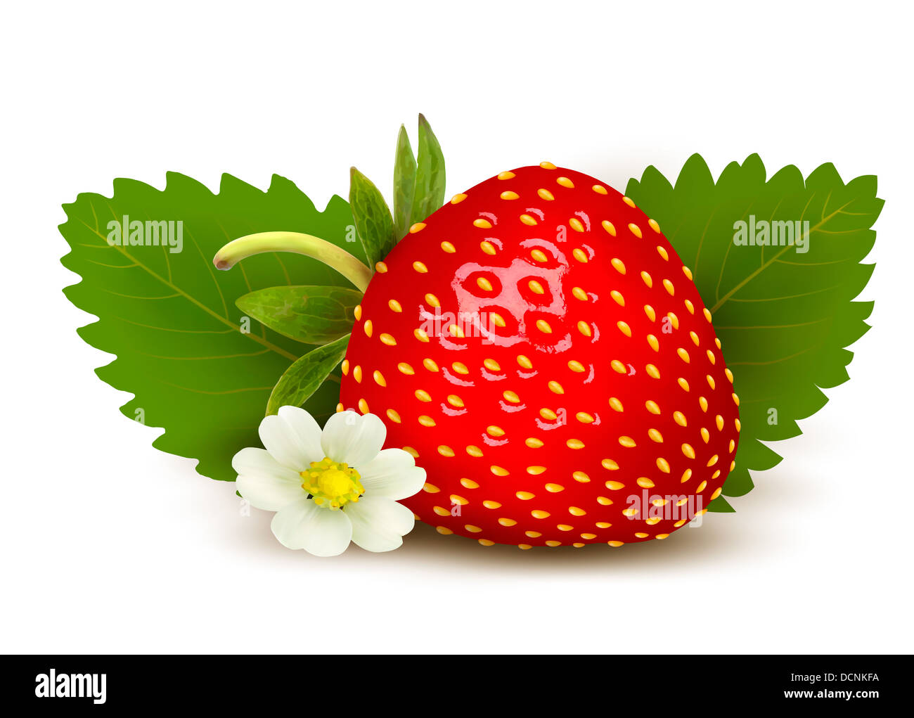 Ripe sweet strawberry and flower with leaves. Vector Stock Photo - Alamy