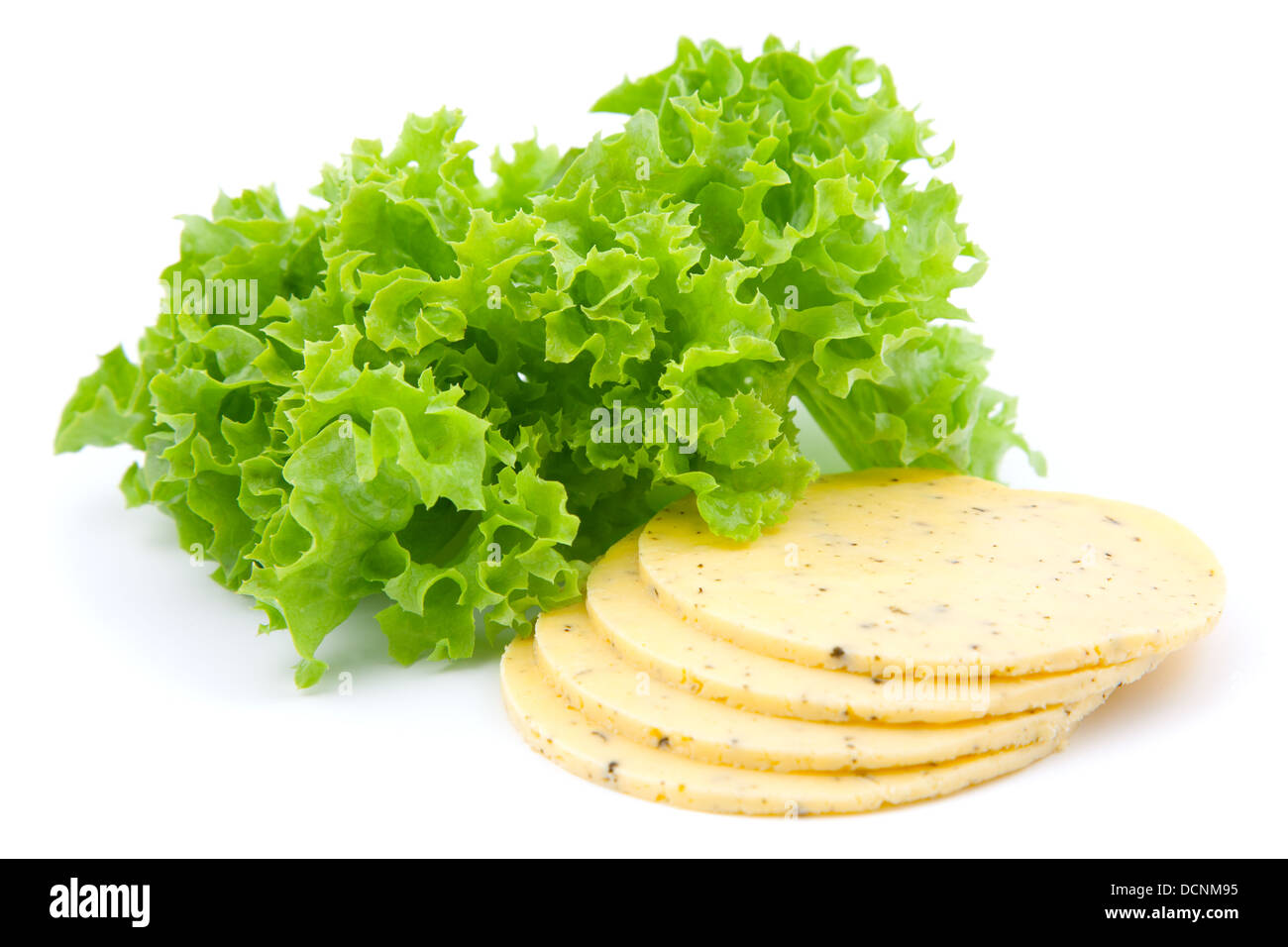 cheese with green salad lettuce, on white Stock Photo - Alamy