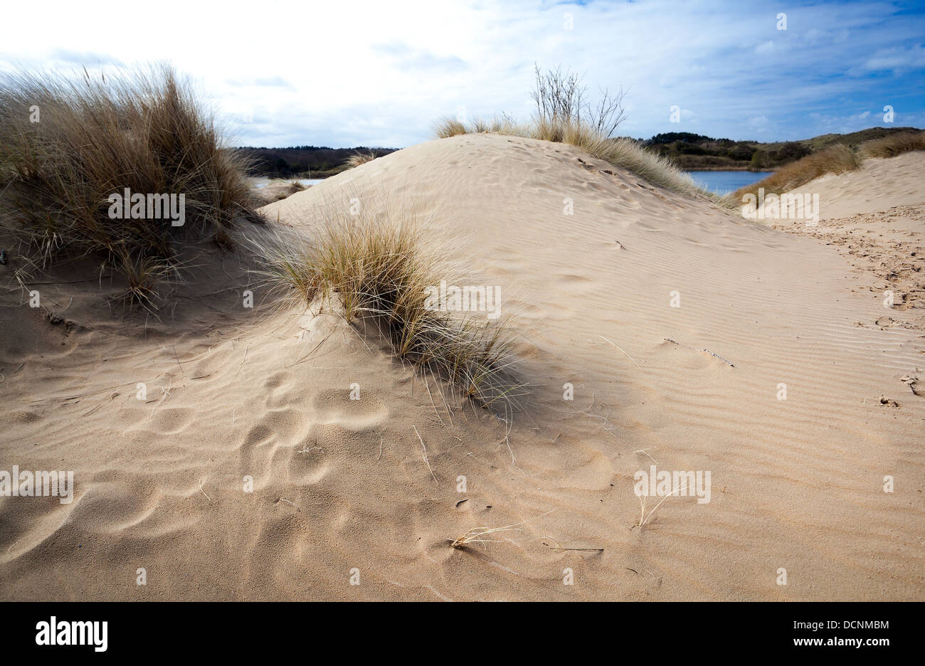sand and wind Stock Photo - Alamy