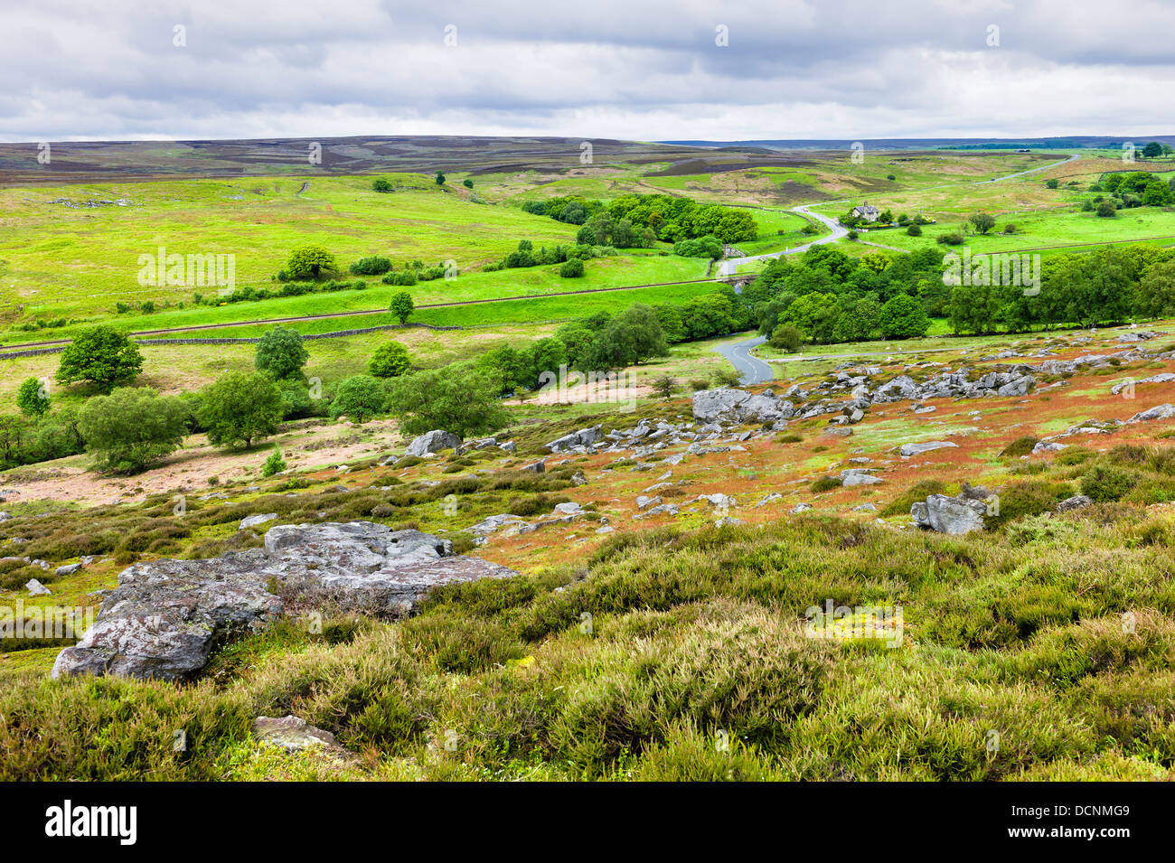 Rocks lay scattered over the North York Moors National Park near ...