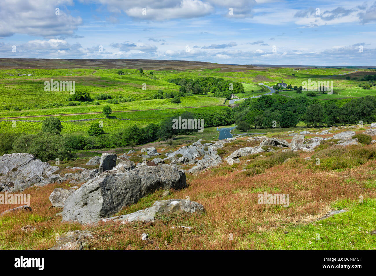 Rocks lay scattered over the North York Moors National Park near ...