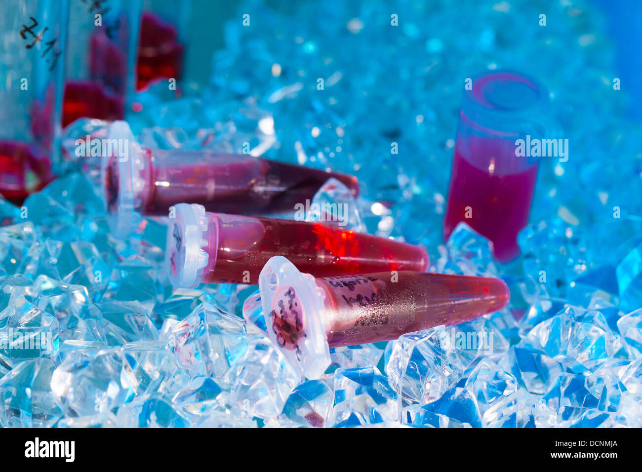 reaction plastic tube in a box full of ice Stock Photo - Alamy