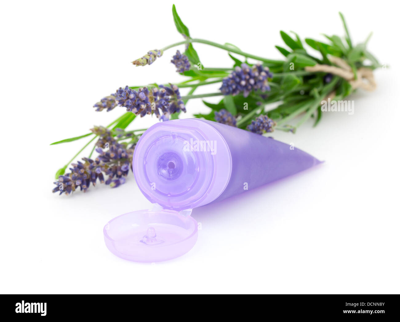 Lavender soothing cream tube and lavender flower, isolated on wh Stock ...