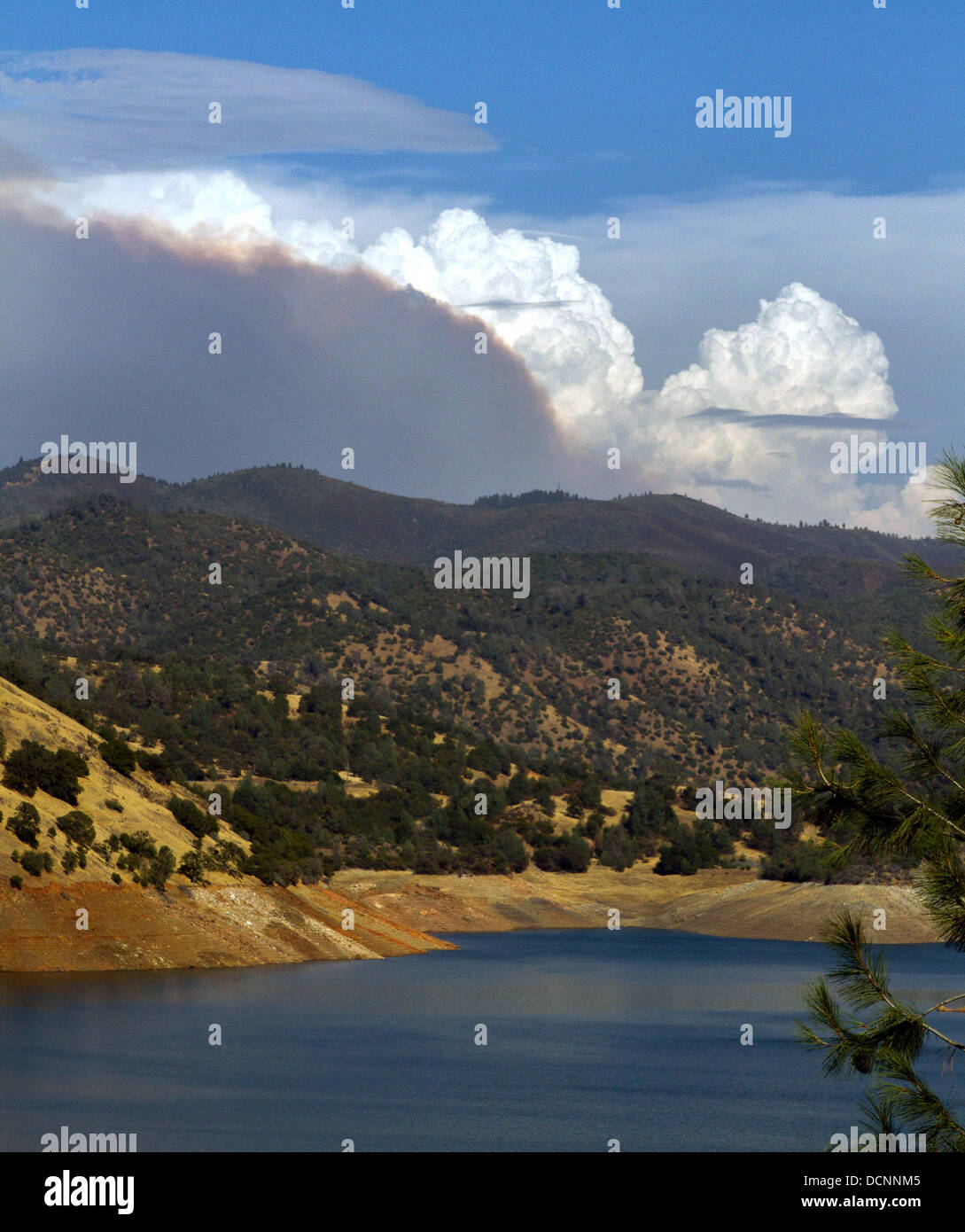 Buck Meadows, CA, USA. 20th Aug, 2013. The Rim Fire in the Stanislaus ...