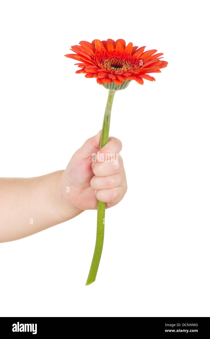 flower in hand Stock Photo - Alamy
