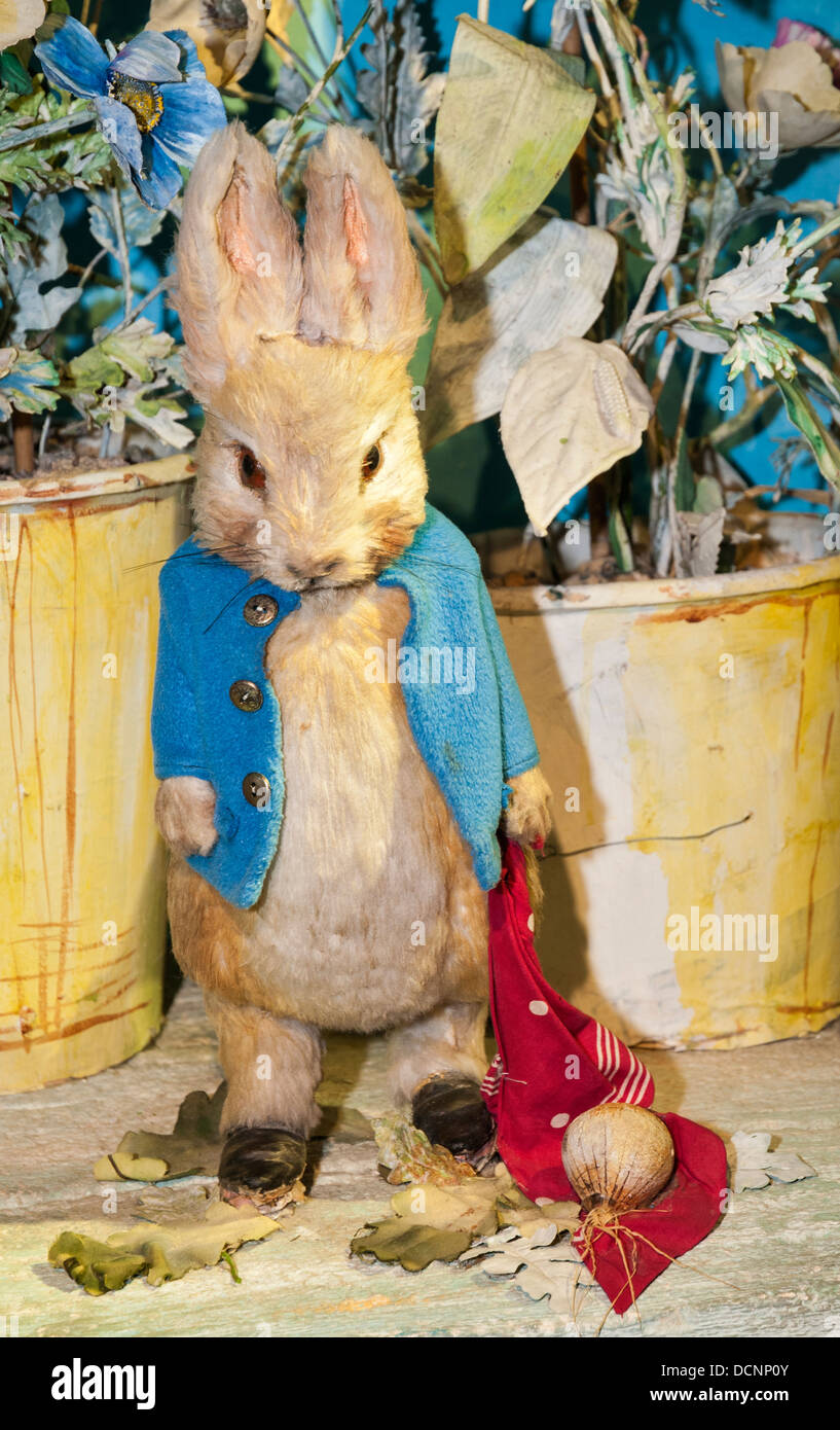 Peter rabbit hi-res stock photography and images - Alamy
