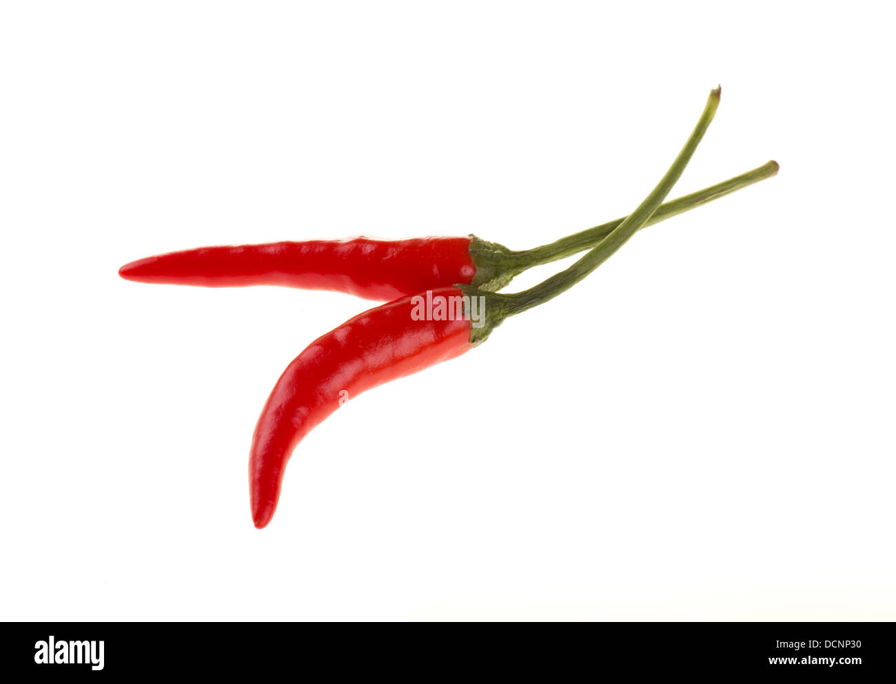 Selective red color Cut Out Stock Images & Pictures - Alamy