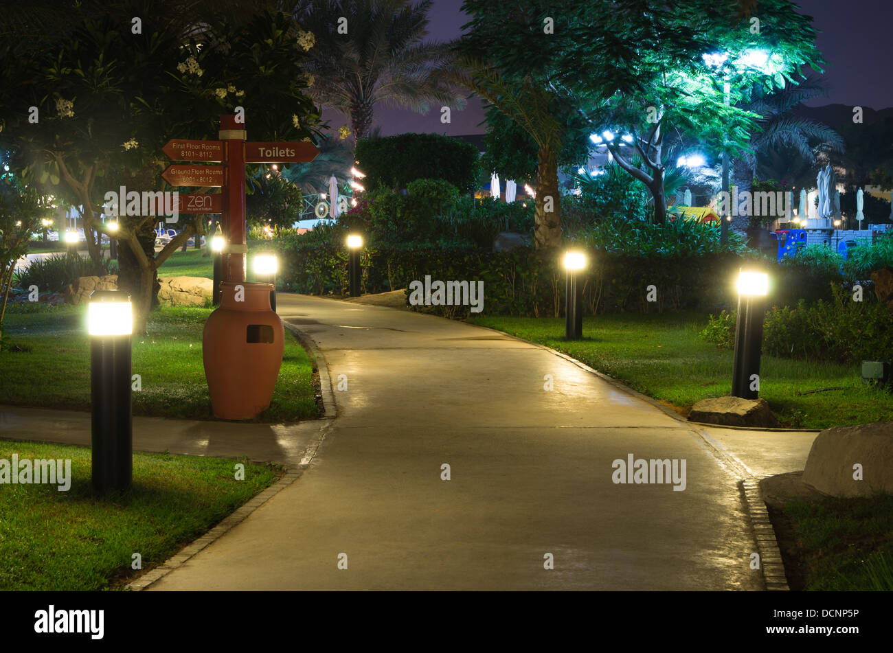 garden at night Stock Photo - Alamy