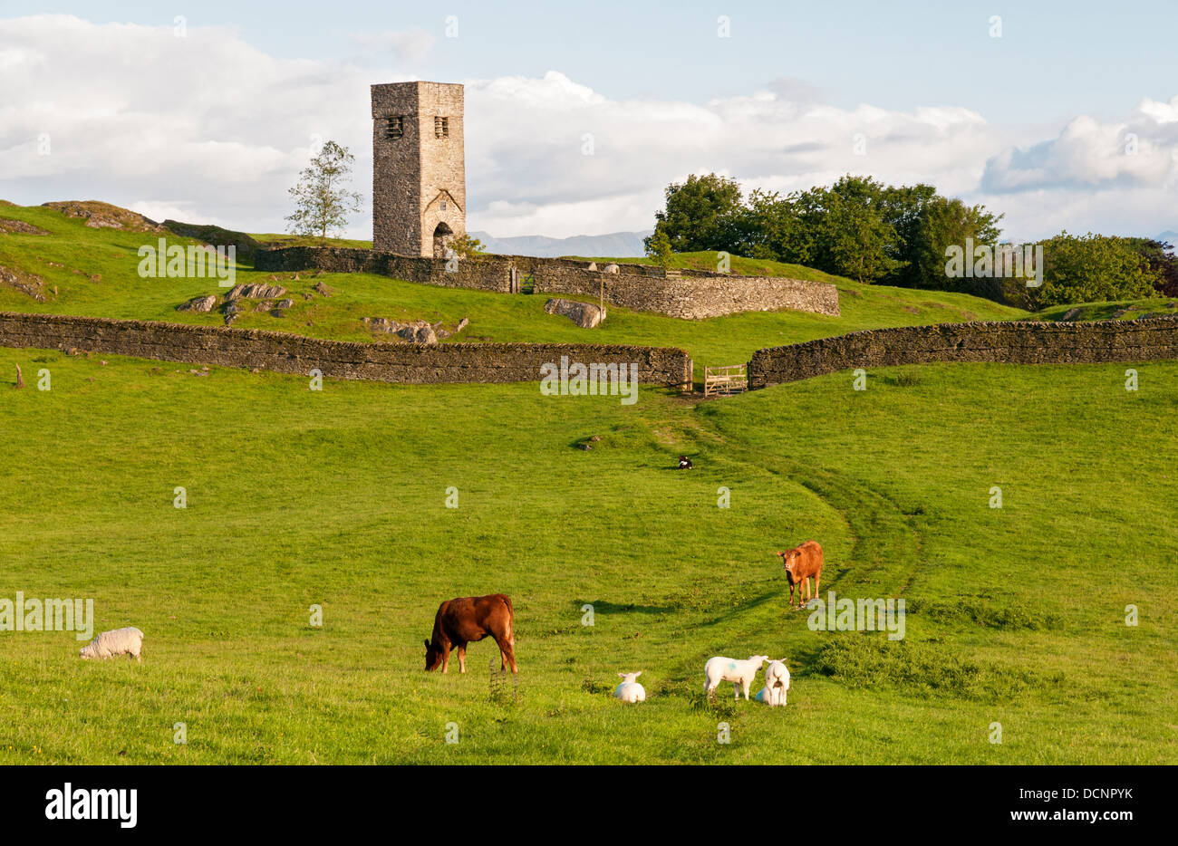 Great Britain, England, Cumbria, Lake District, Crook, Crook Hall Farm ...