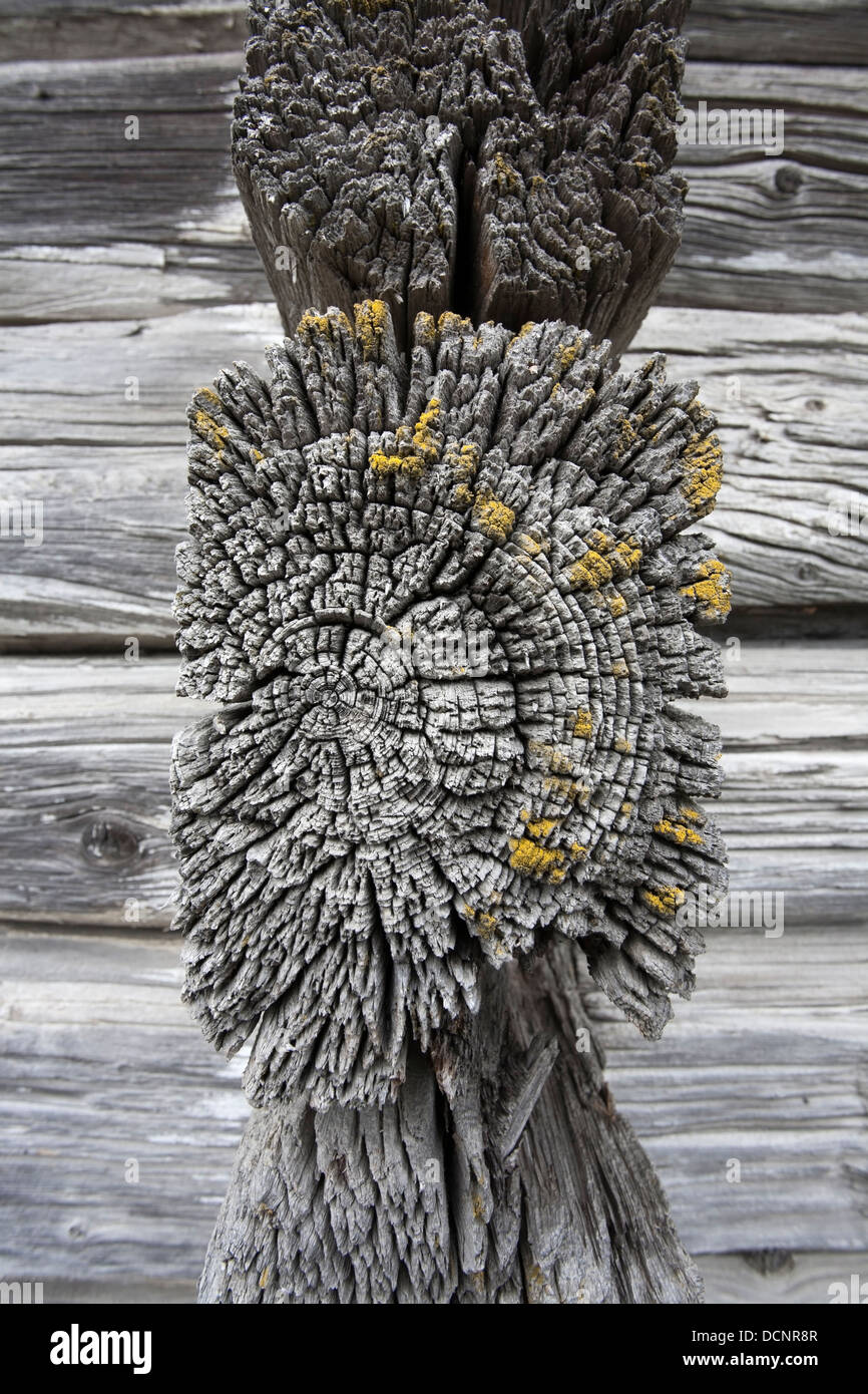 weathered old logs Stock Photo - Alamy