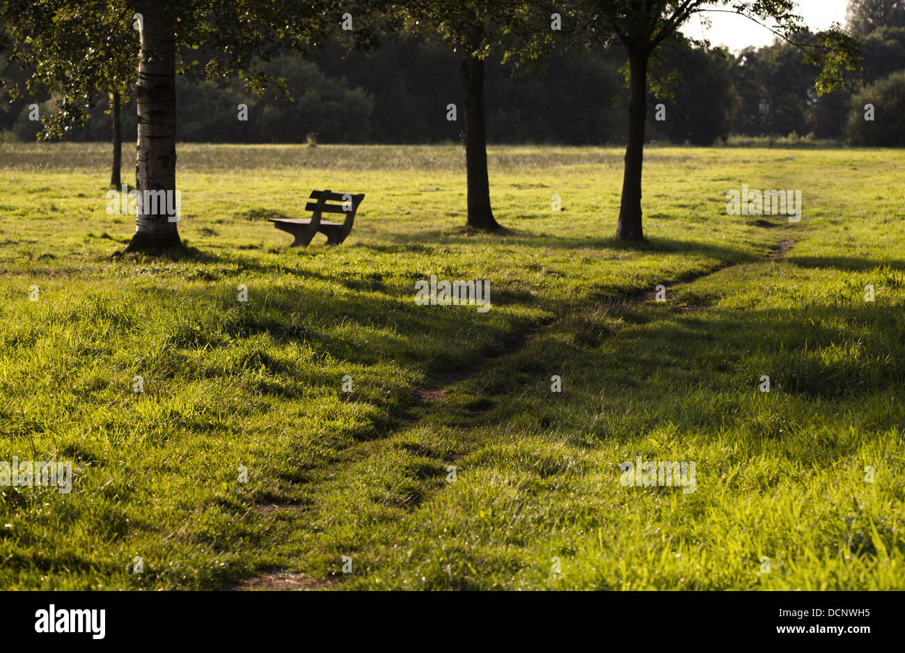 path by bench Stock Photo - Alamy