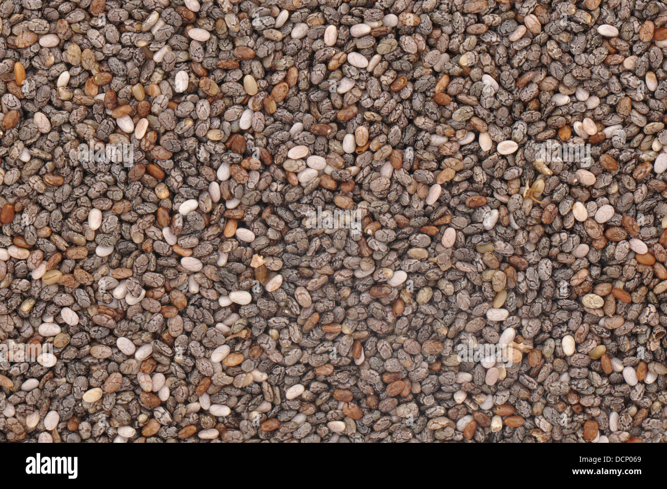 Mayan recipe hi-res stock photography and images - Alamy