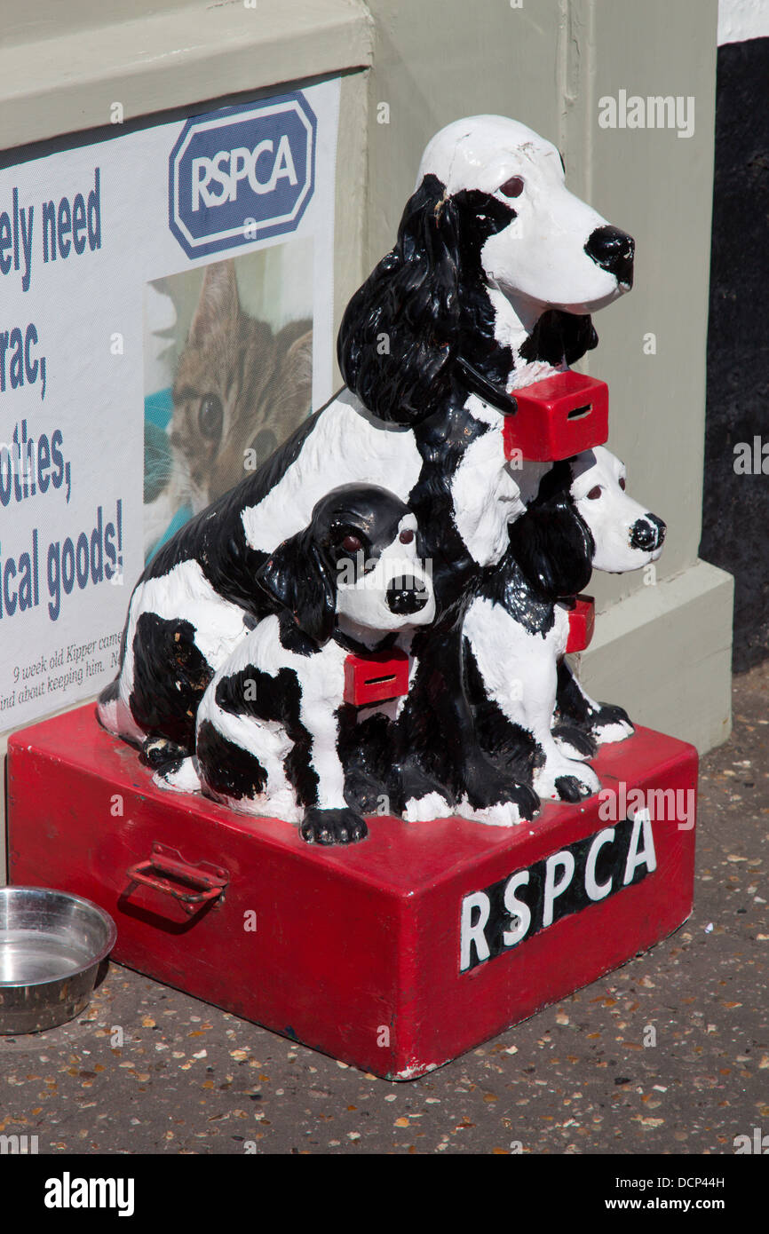 Rspca collection box hi-res stock photography and images - Alamy