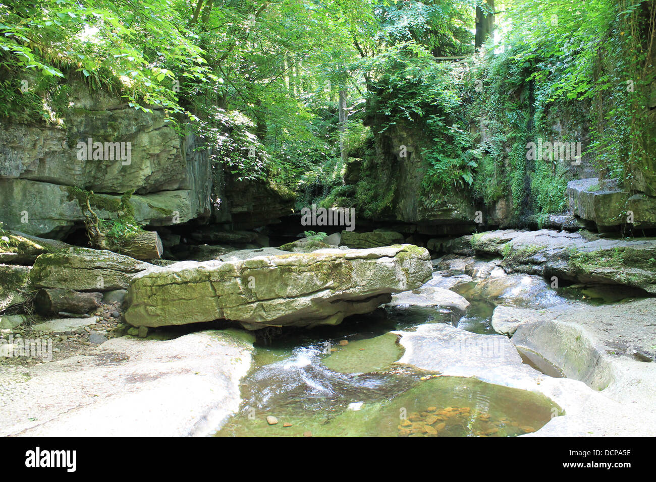 How Stean Gorge Nidderdale Yorkshire Dales National Park UK Stock Photo ...