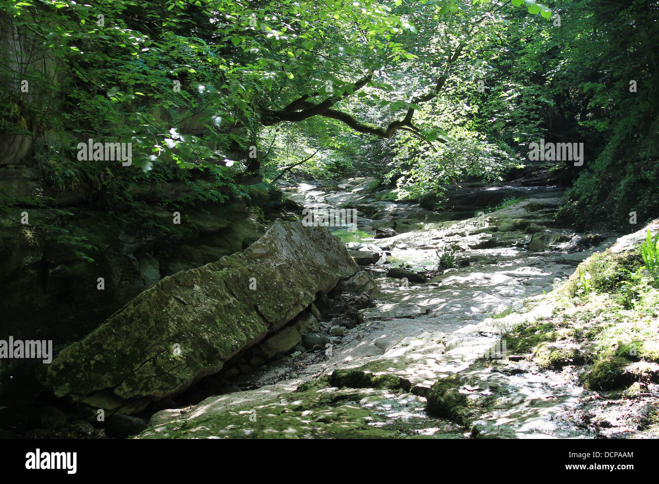How Stean Gorge Nidderdale Yorkshire Dales National Park UK Stock Photo ...