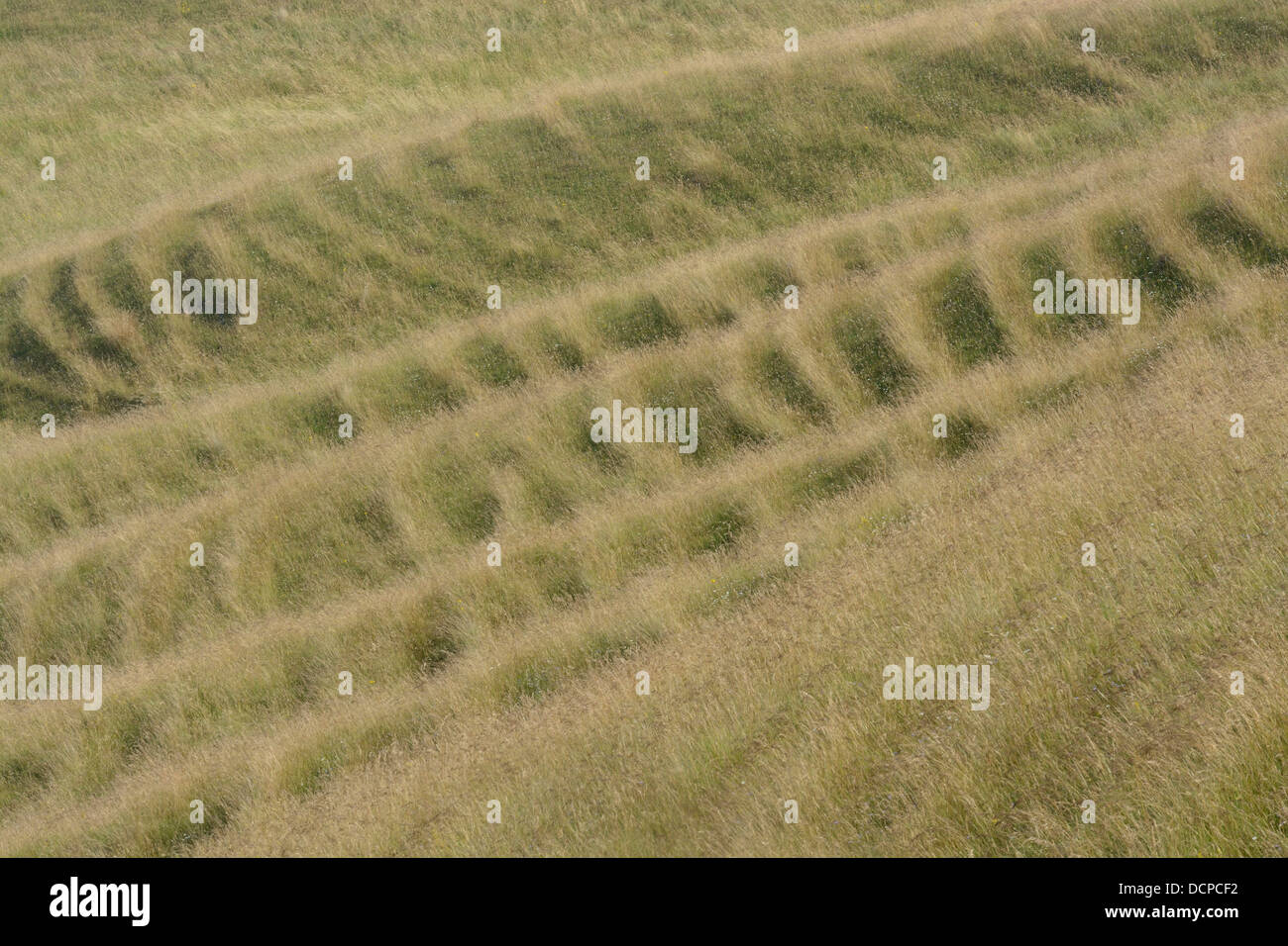 Soil creep hi-res stock photography and images - Alamy