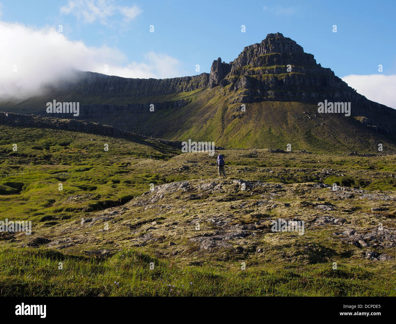 Iceland basalt landscape hi-res stock photography and images - Alamy
