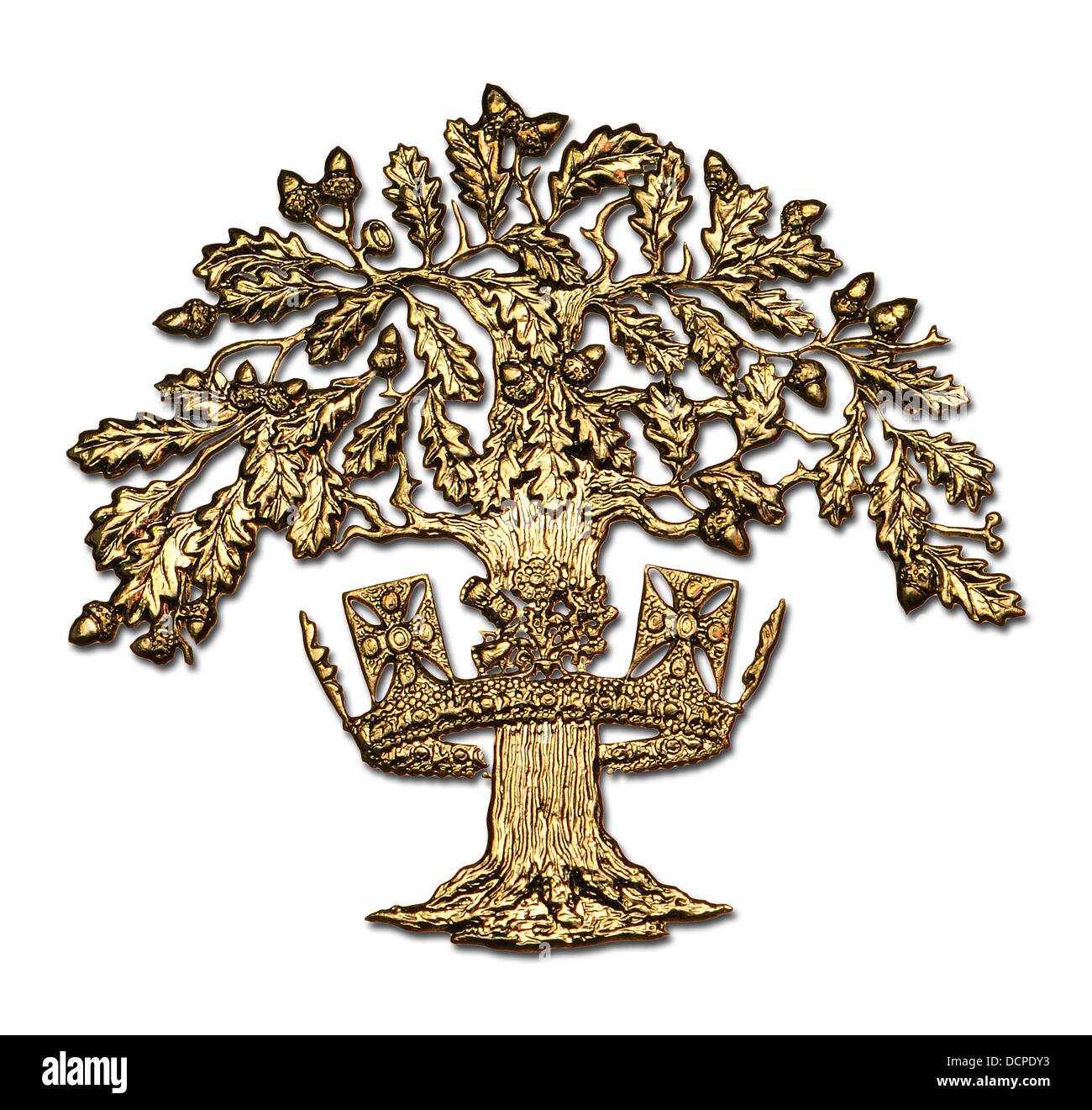 Pound coin reverse tree hi-res stock photography and images - Alamy