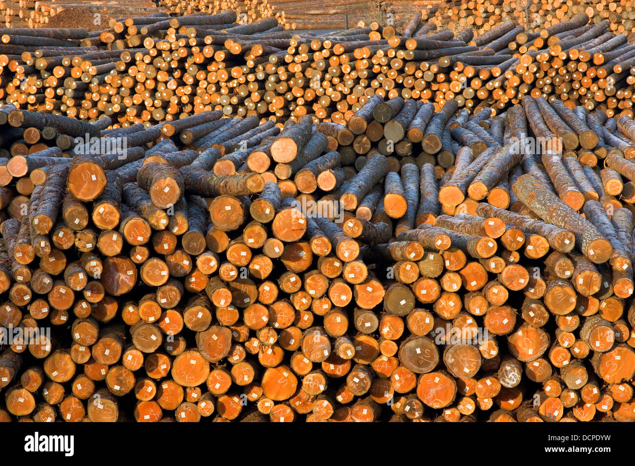 Lumber Mill Log Pile Stock Photo - Alamy