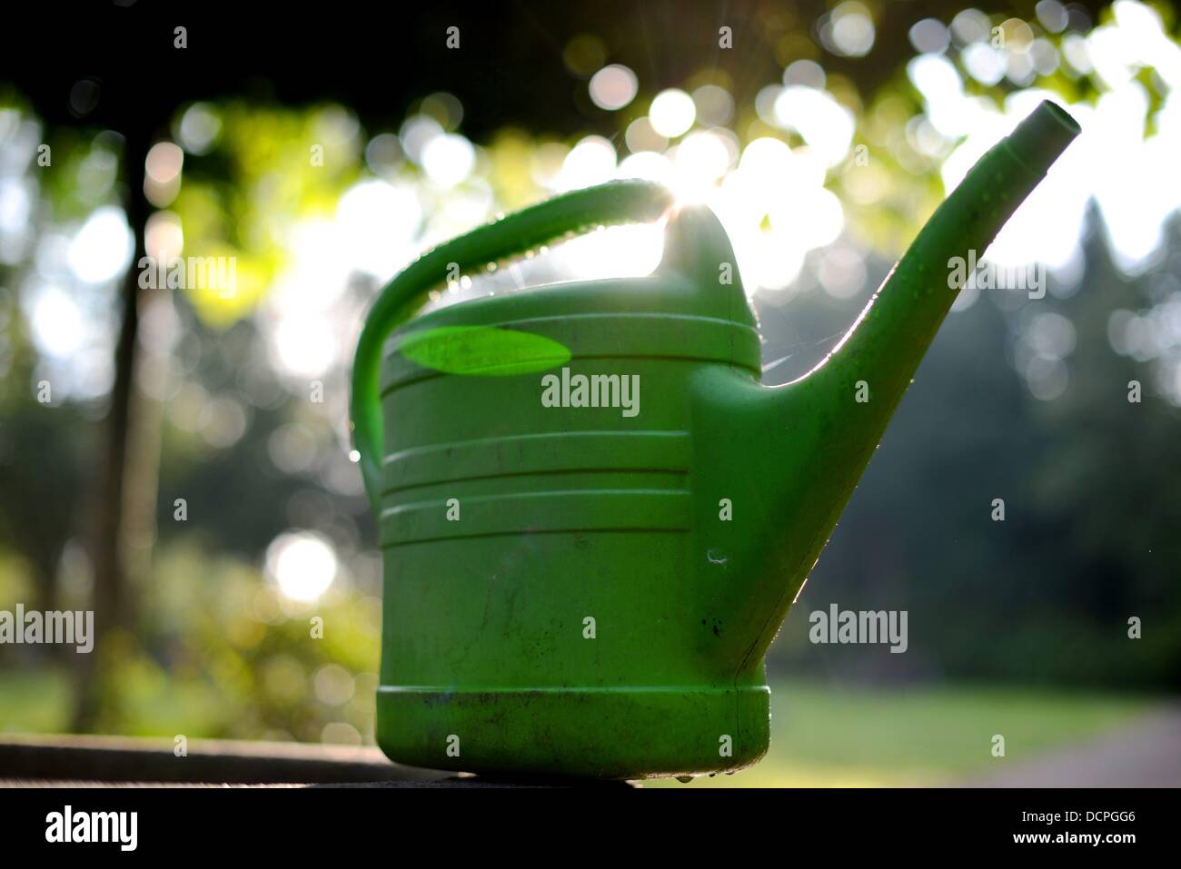 Watering can in the garden. Photo: Frank May Stock Photo - Alamy