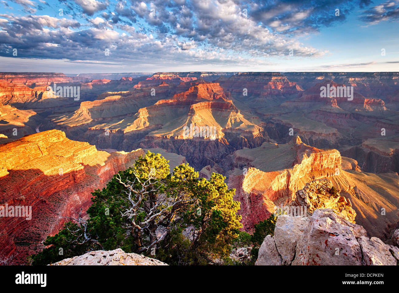 great view of Grand Canyon Stock Photo - Alamy