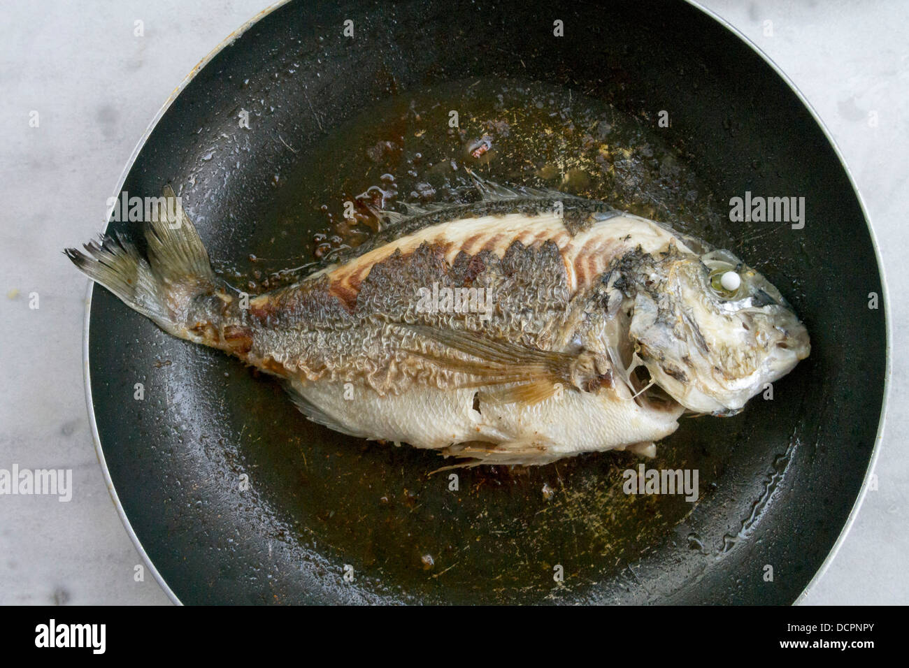whole fried Gilthead seabream fish (Dourada) on the black pan Stock ...