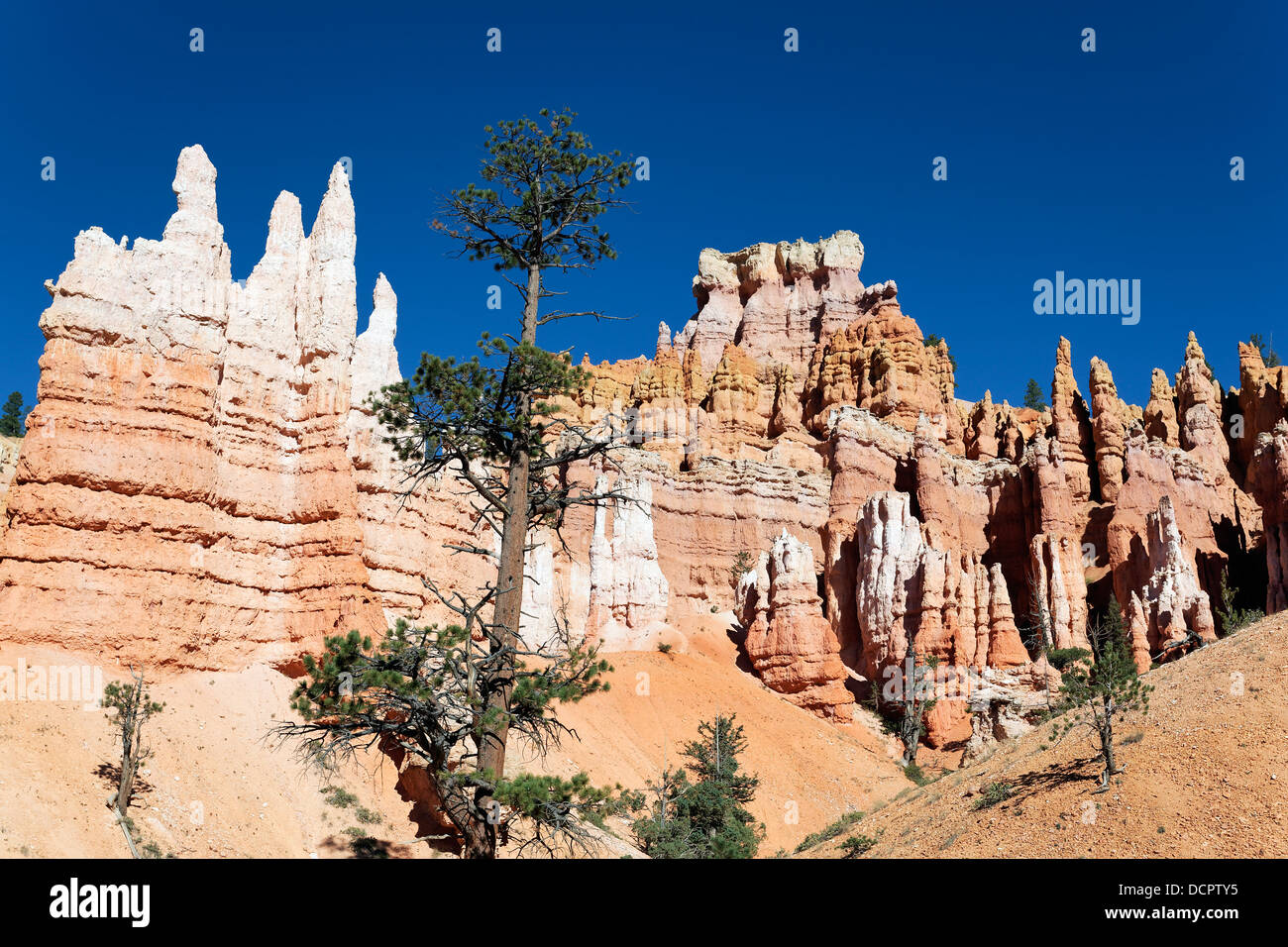 view of Navajo Trail in Bryce Canyon Stock Photo - Alamy