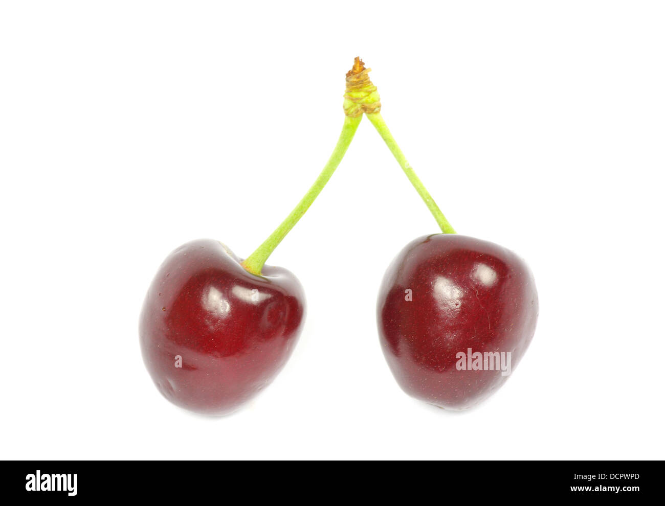 Curved stem Cut Out Stock Images & Pictures - Alamy