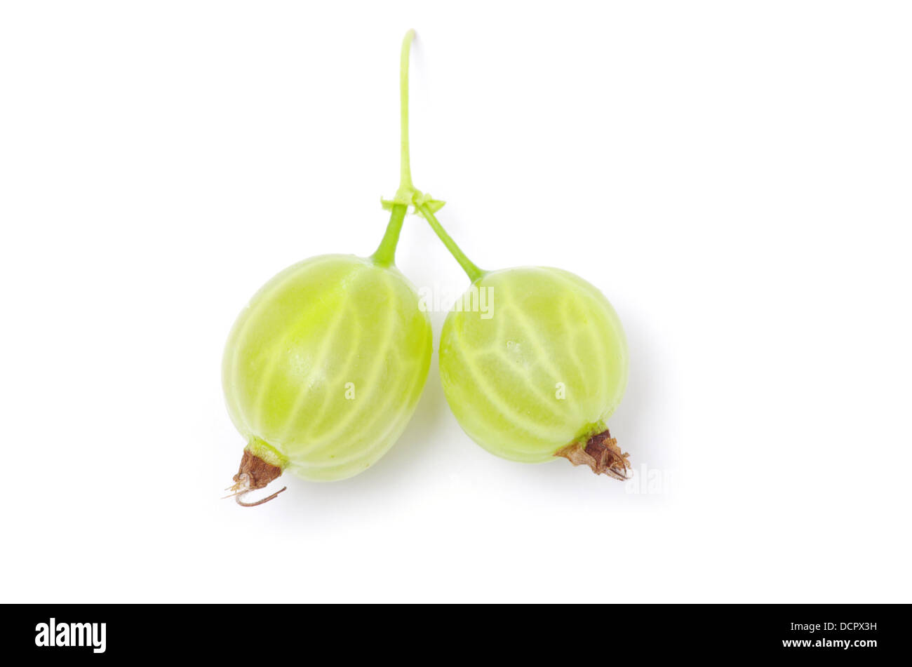 Closeup ripe green gooseberry Cut Out Stock Images & Pictures - Alamy